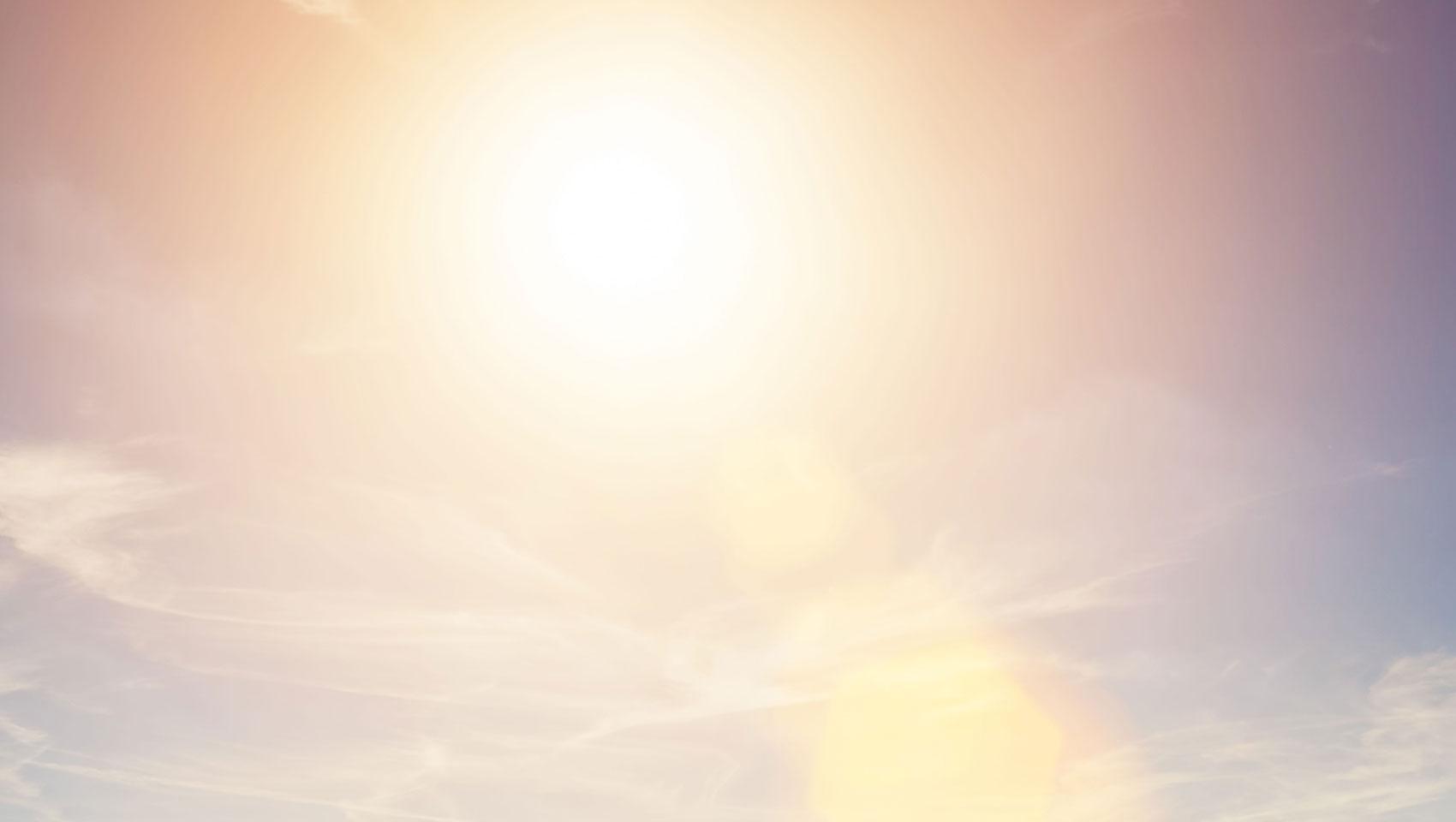 Premier Hollywood Hotel | The Kimpton Everly Hotel